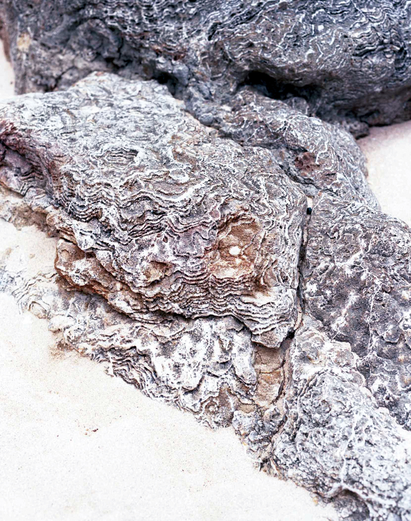 Copyright 2017 Yuko Amano